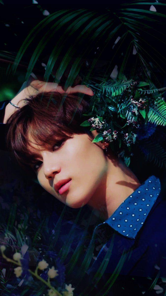 Taemin Wallpapers - Top Free Taemin Backgrounds - WallpaperAccess