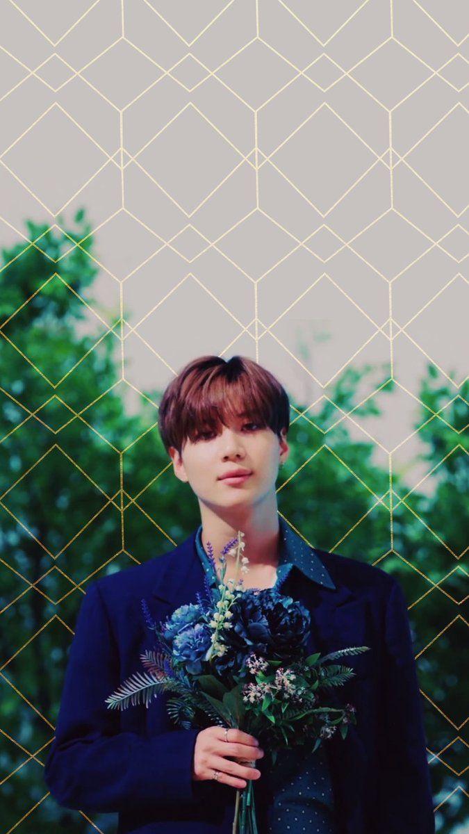 Taemin Wallpapers - Top Free Taemin Backgrounds - WallpaperAccess