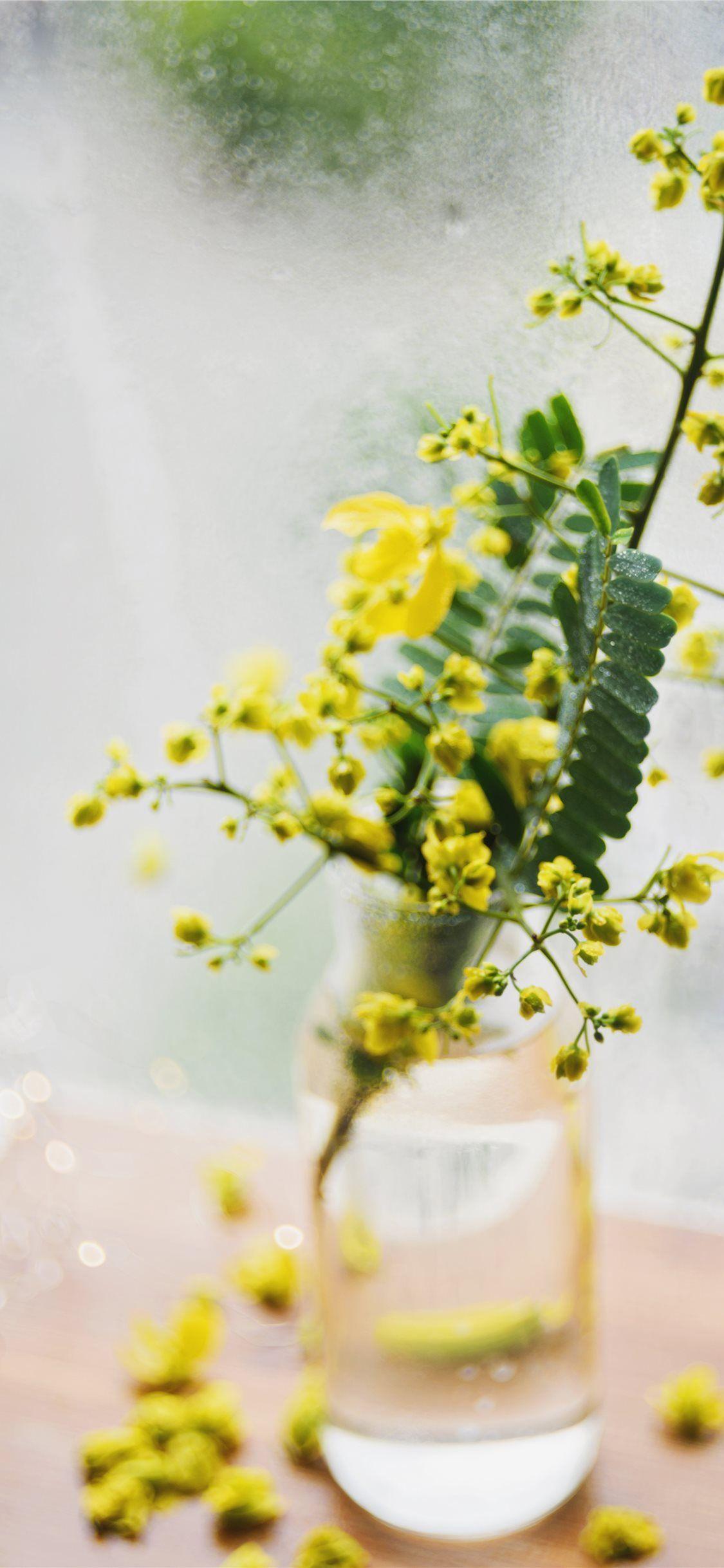 Yellow Flower iPhone Wallpapers - Top Free Yellow Flower iPhone ...