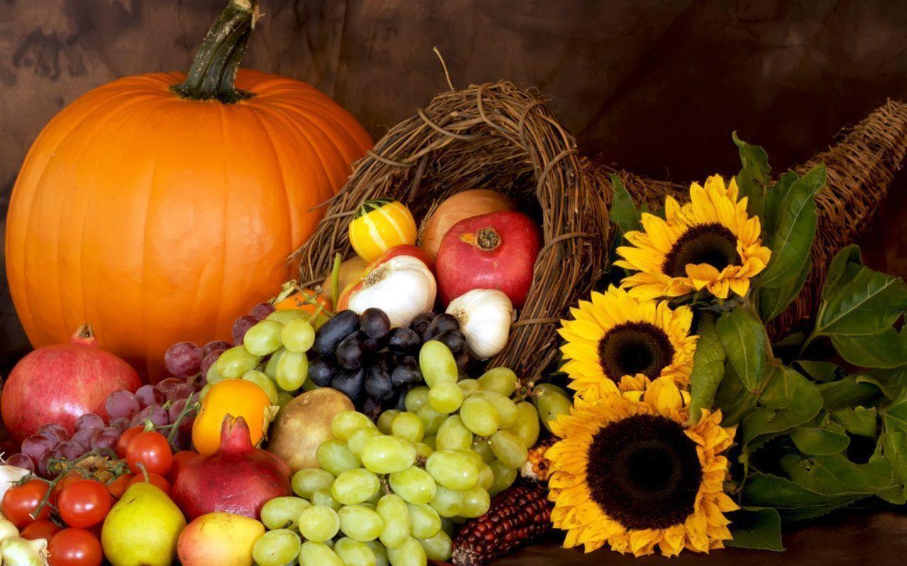 Fall Harvest Wallpapers - Top Free Fall Harvest Backgrounds ...