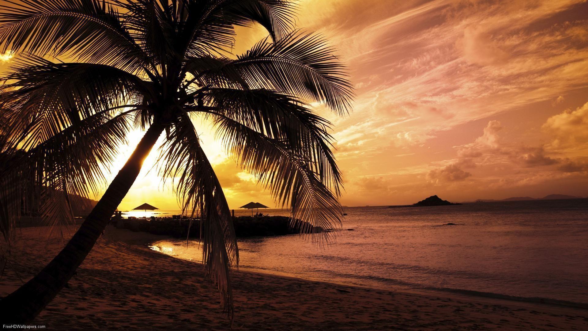 Paradise Sunset Wallpapers - Top Free Paradise Sunset Backgrounds ...