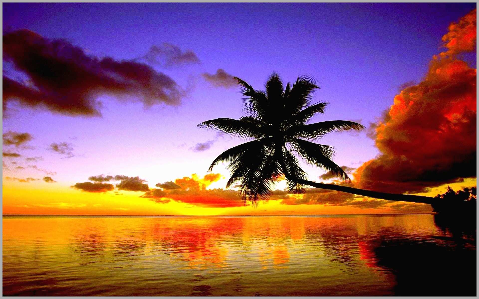 Paradise Sunset Wallpapers - Top Free Paradise Sunset Backgrounds ...