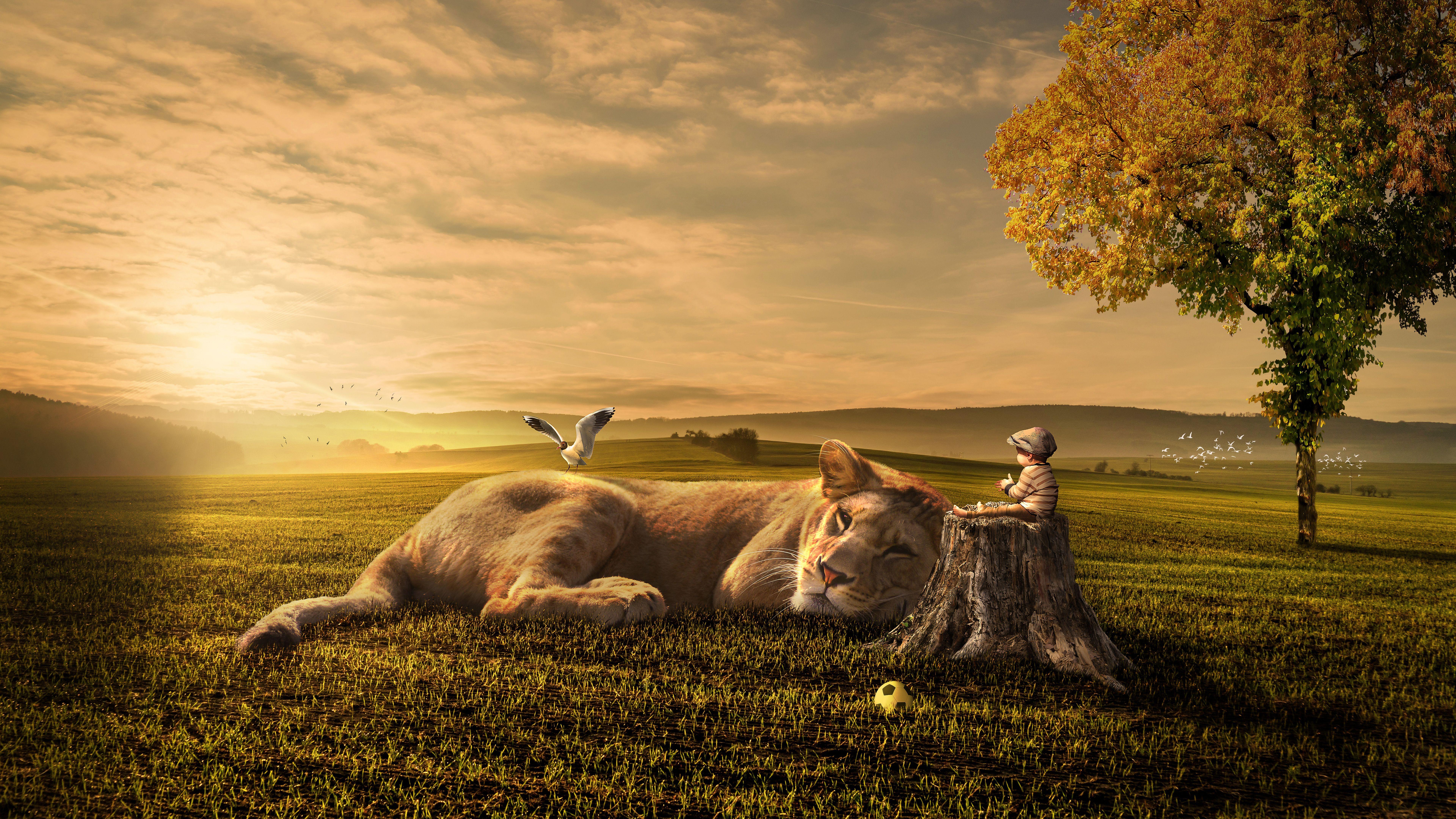 8K Sunset Wallpapers - Top Free 8K Sunset Backgrounds - WallpaperAccess