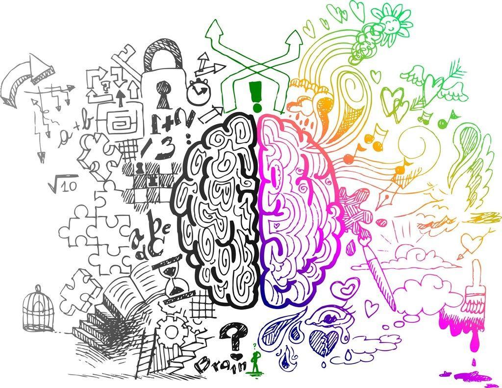 Brain Anatomy Wallpapers - Top Free Brain Anatomy Backgrounds ...