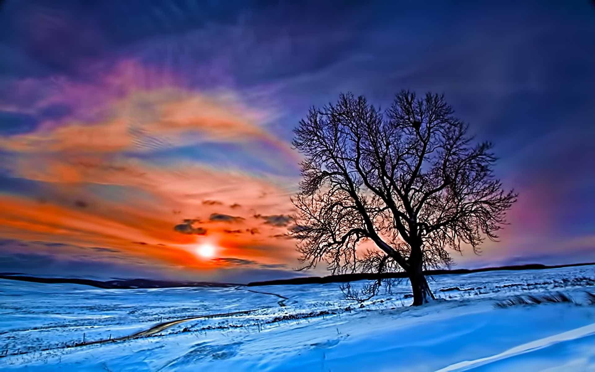 Winter Sunset Wallpapers - Top Free Winter Sunset Backgrounds ...