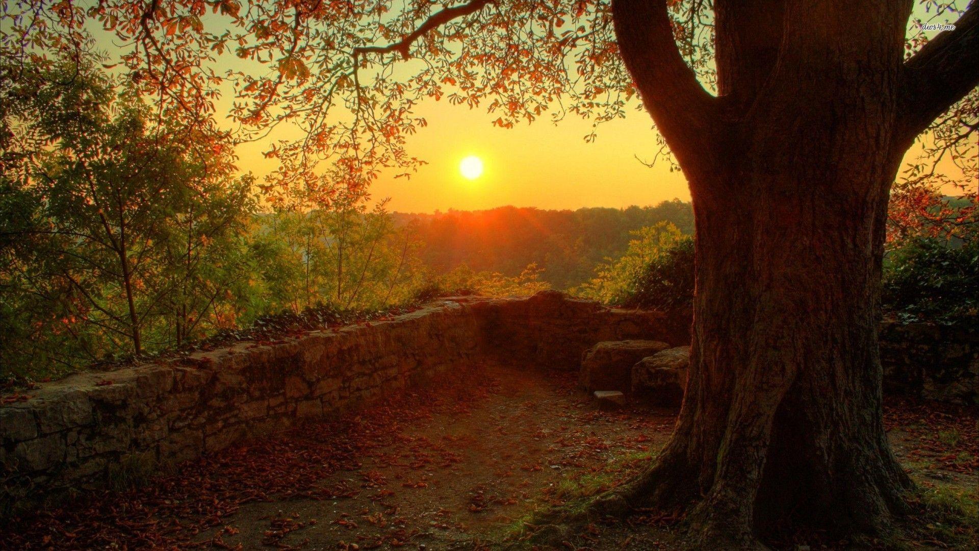 Garden Sunset Wallpapers - Top Free Garden Sunset Backgrounds ...