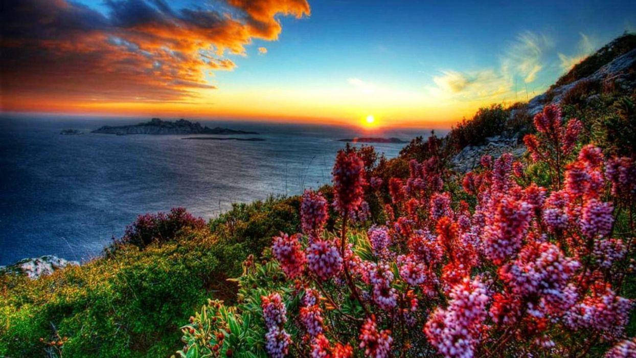 Flower Sunset Wallpapers - Top Free Flower Sunset Backgrounds ...