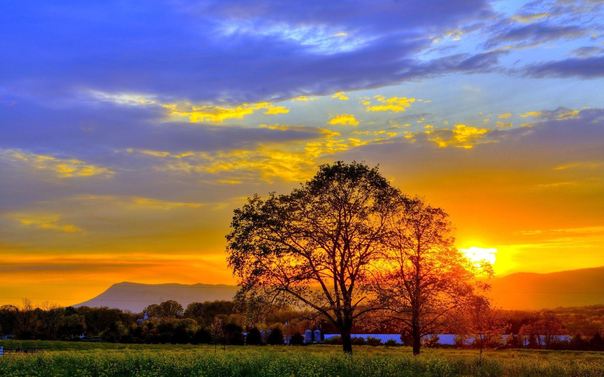 Summer Sunset Wallpapers - Top Free Summer Sunset Backgrounds ...