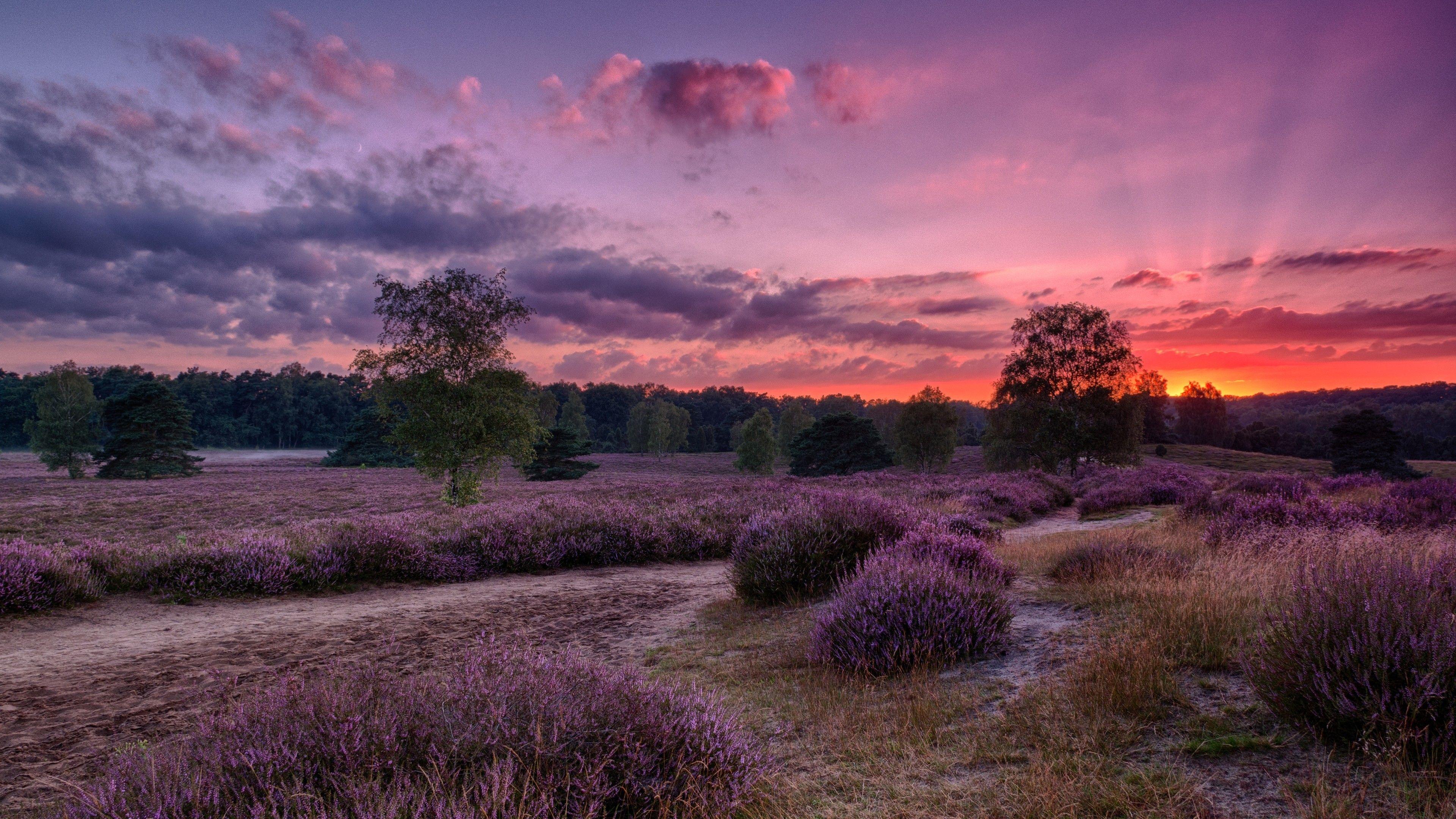 Garden Sunset Wallpapers - Top Free Garden Sunset Backgrounds - WallpaperAccess