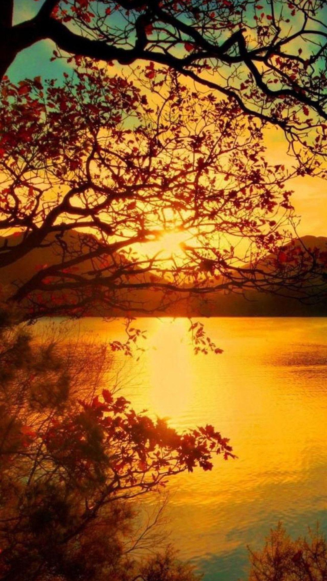 Summer Sunset Wallpapers - Top Free Summer Sunset Backgrounds ...