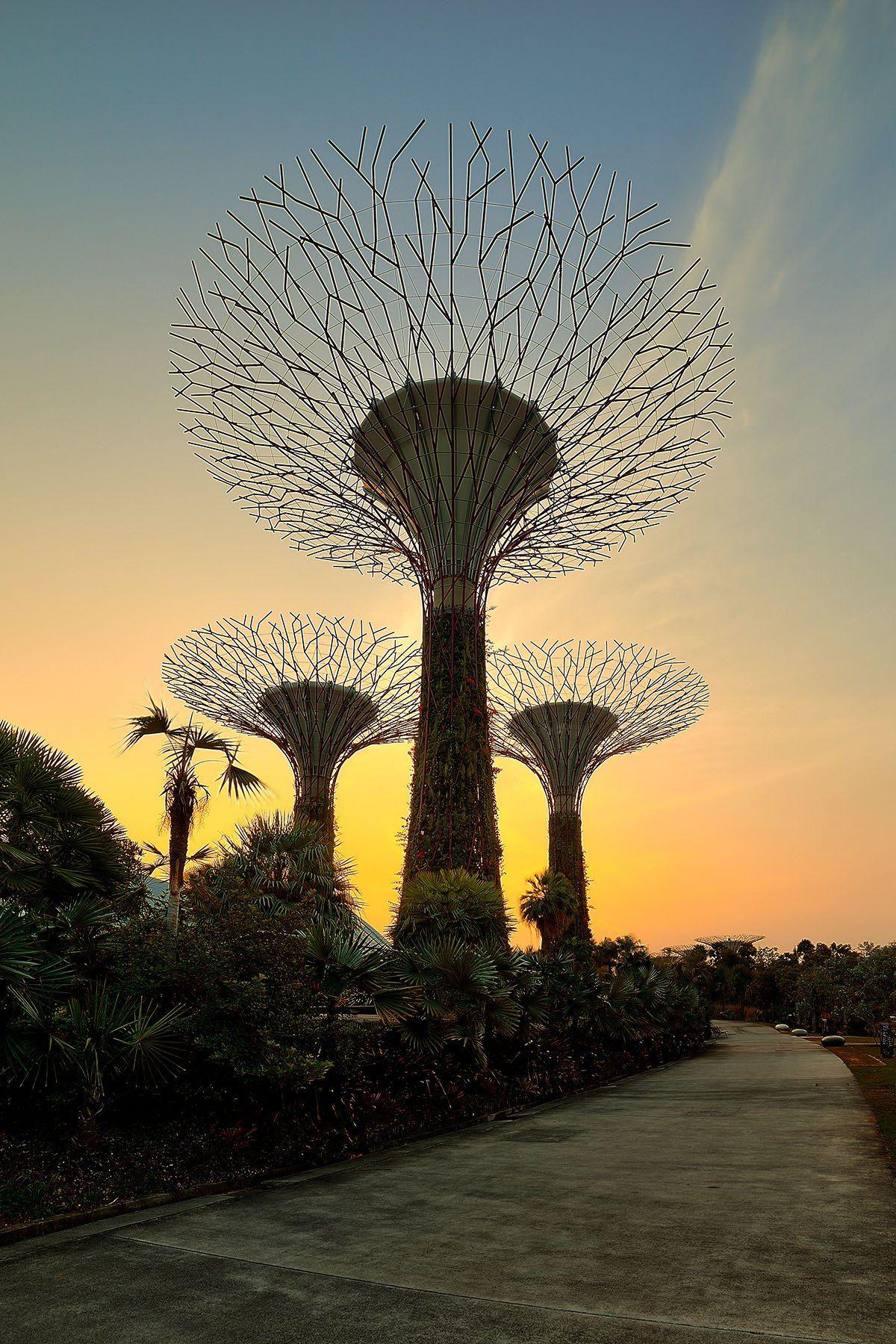 Garden Sunset Wallpapers - Top Free Garden Sunset Backgrounds ...