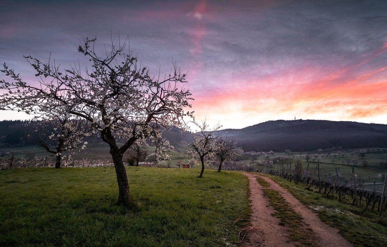 Garden Sunset Wallpapers - Top Free Garden Sunset Backgrounds ...