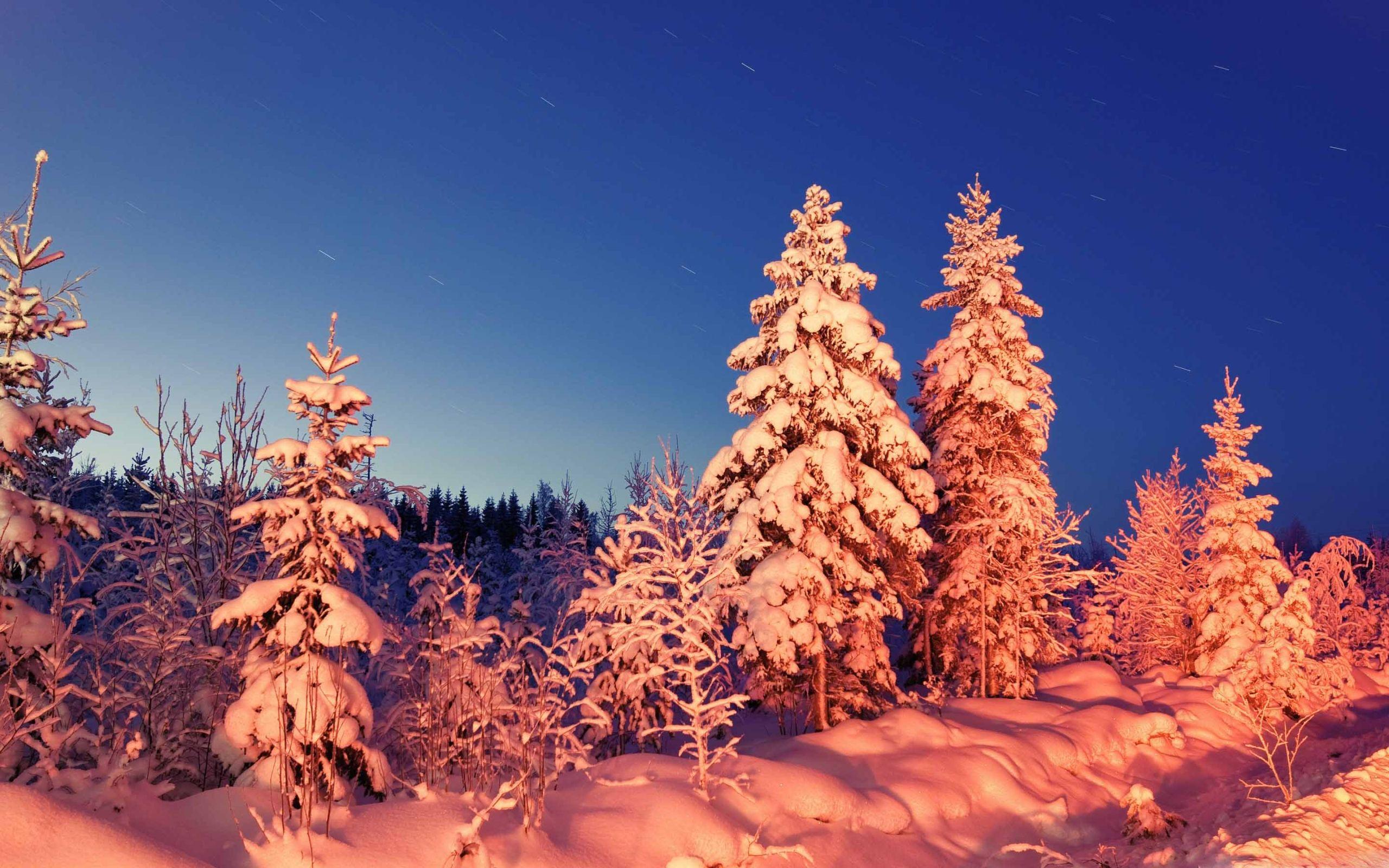 Winter Evening Wallpapers - Top Free Winter Evening Backgrounds ...