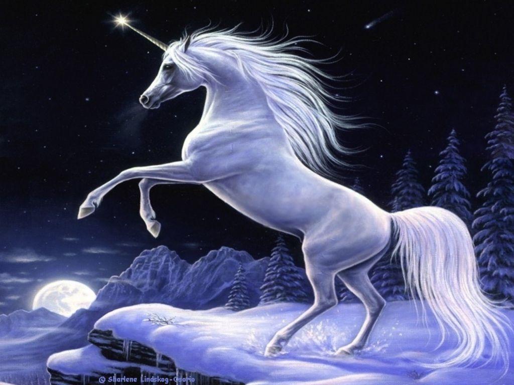 Magical Unicorn Wallpapers - Top Free Magical Unicorn Backgrounds - WallpaperAccess