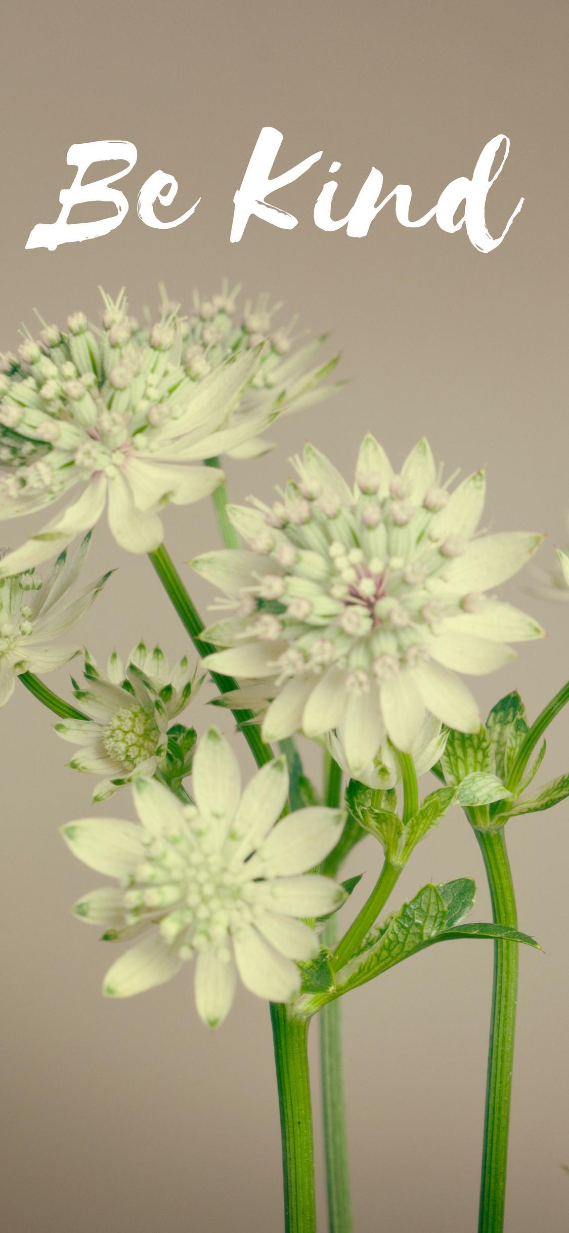Be Kind Wallpapers - Top Free Be Kind Backgrounds - WallpaperAccess