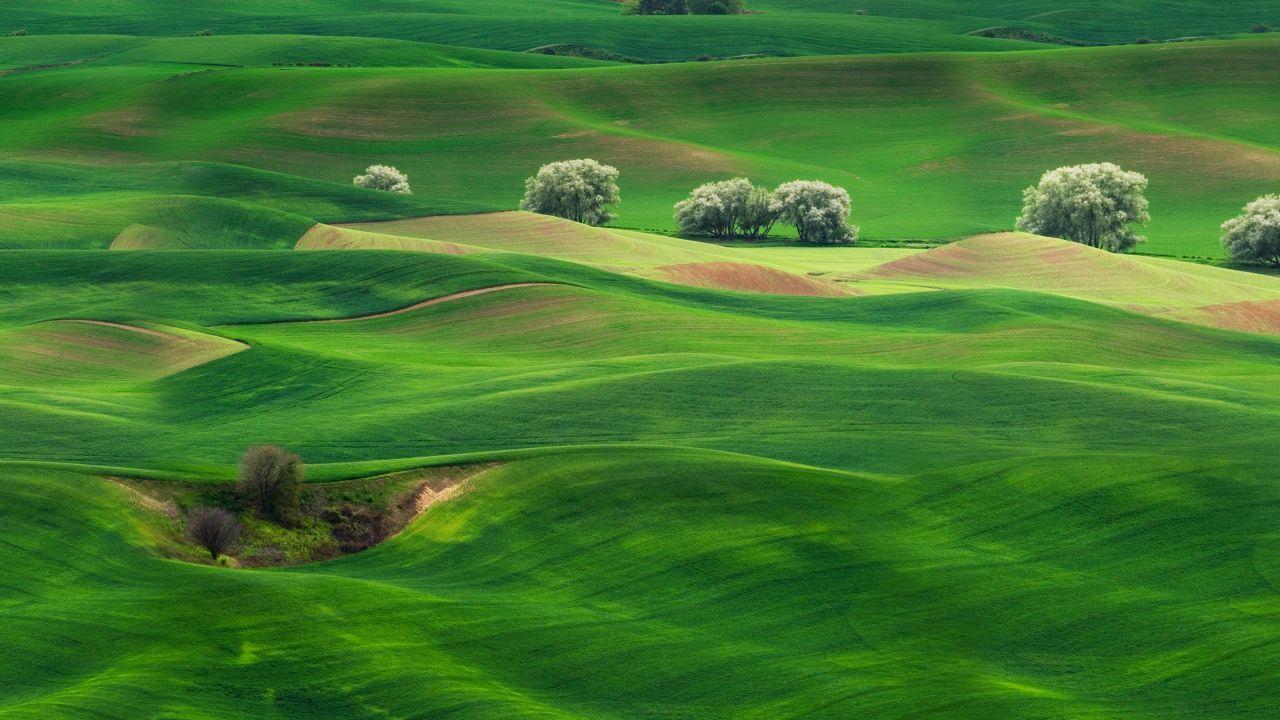 Greenery Wallpapers - Top Free Greenery Backgrounds - WallpaperAccess