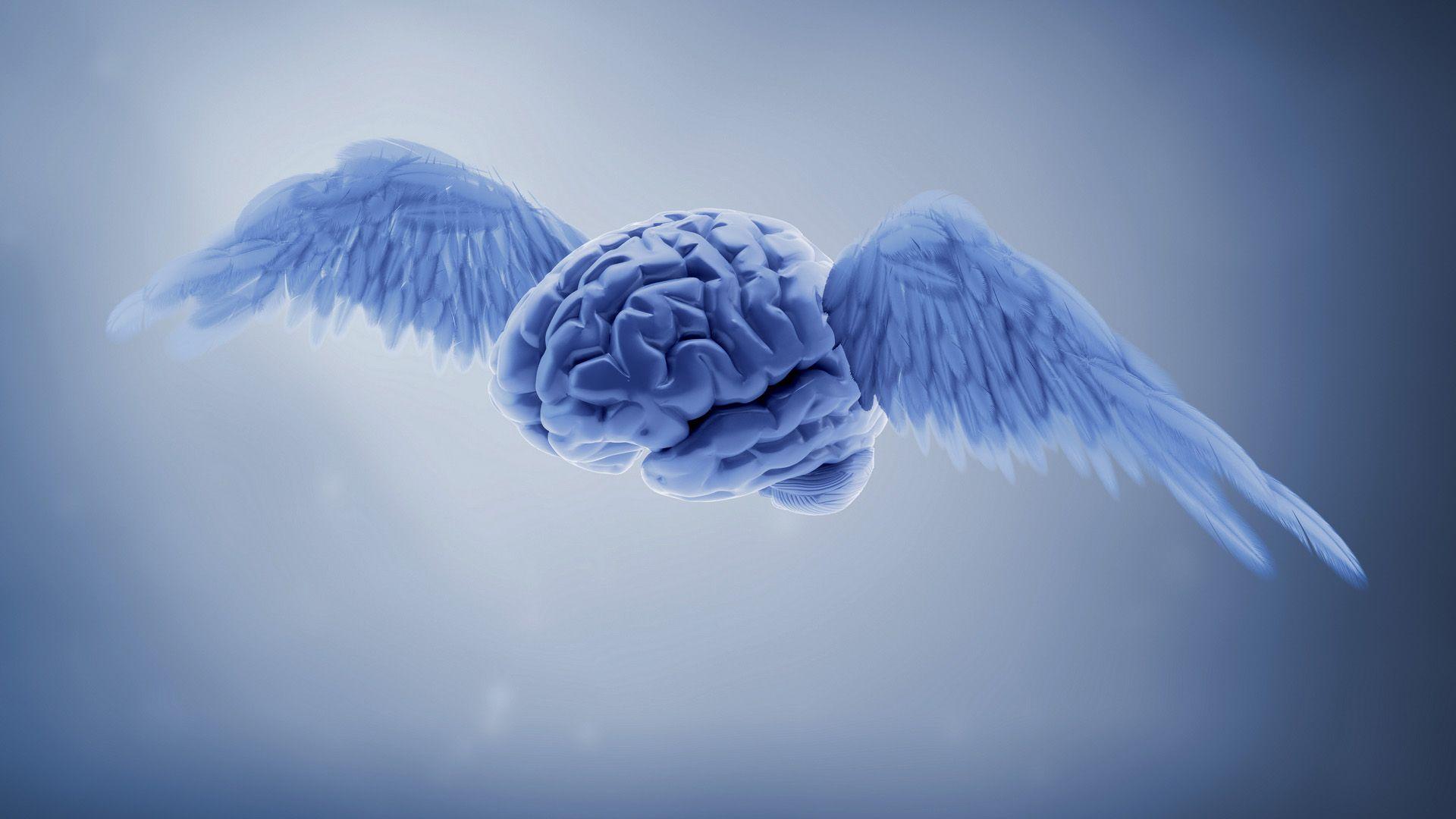 Machine Learning Wallpapers - Top Free Machine Learning Backgrounds ...