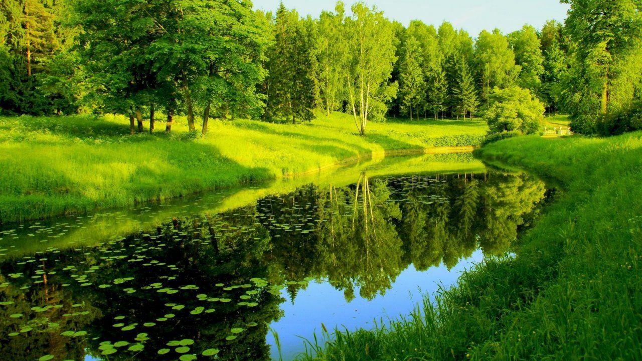 Greenery Wallpapers - Top Free Greenery Backgrounds - WallpaperAccess Greenery Wallpapers - Top Free Greenery Backgrounds - WallpaperAccess