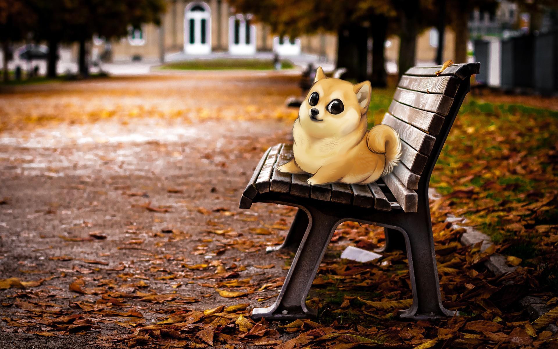 Doggo Wallpapers - Top Free Doggo Backgrounds - WallpaperAccess