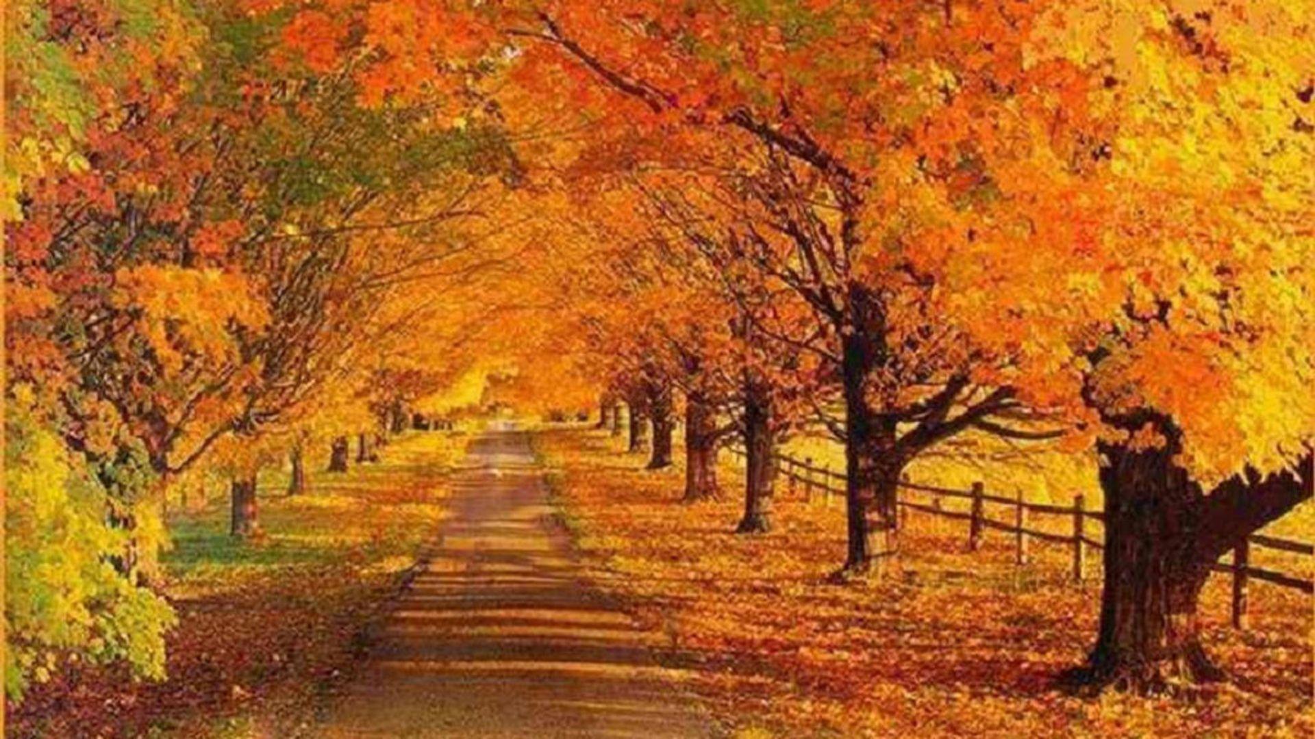 Fall Road Wallpapers - Top Free Fall Road Backgrounds - WallpaperAccess