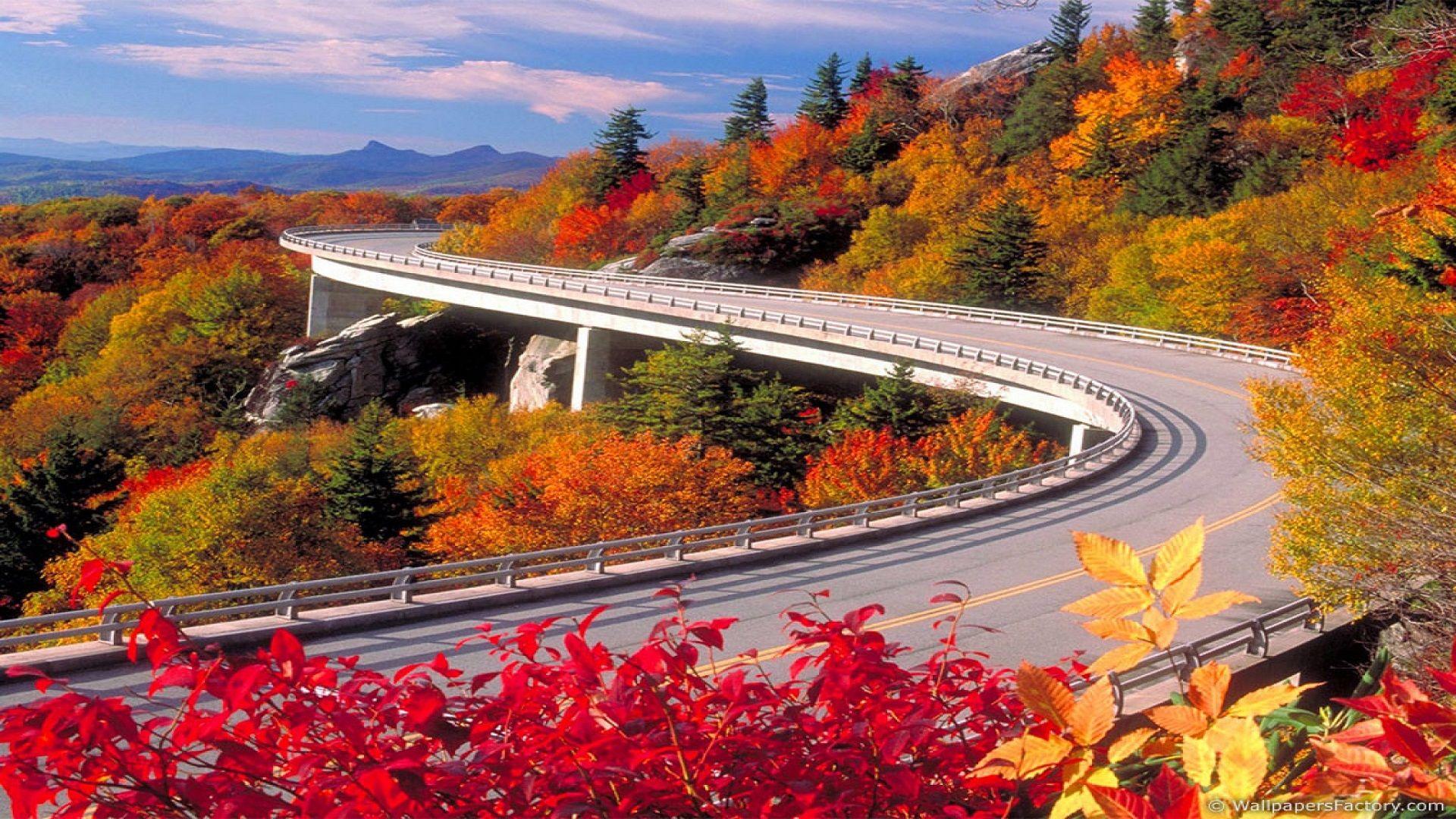 Fall Road Wallpapers - Top Free Fall Road Backgrounds - WallpaperAccess