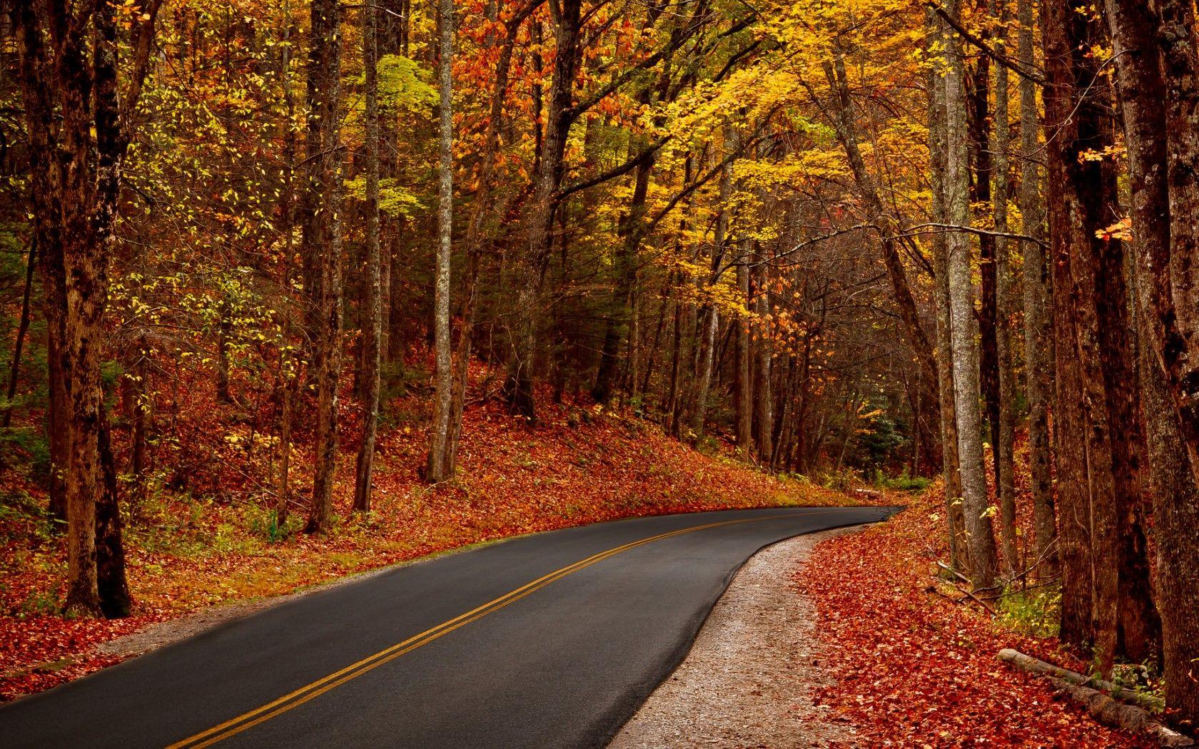 Fall Road Wallpapers - Top Free Fall Road Backgrounds - WallpaperAccess