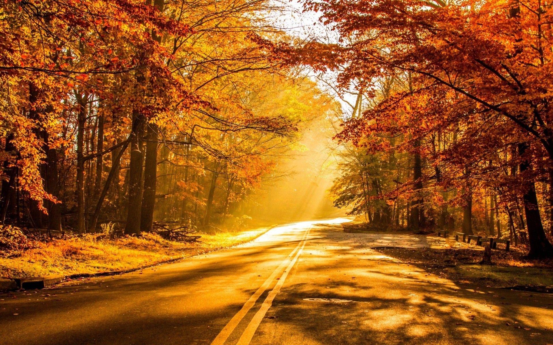 Fall Road Wallpapers - Top Free Fall Road Backgrounds - WallpaperAccess