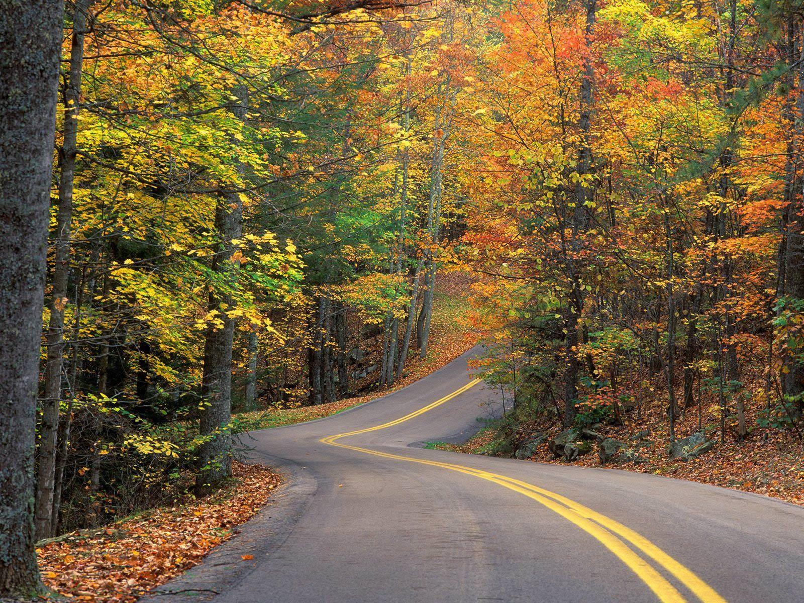 Fall Road Wallpapers - Top Free Fall Road Backgrounds - WallpaperAccess