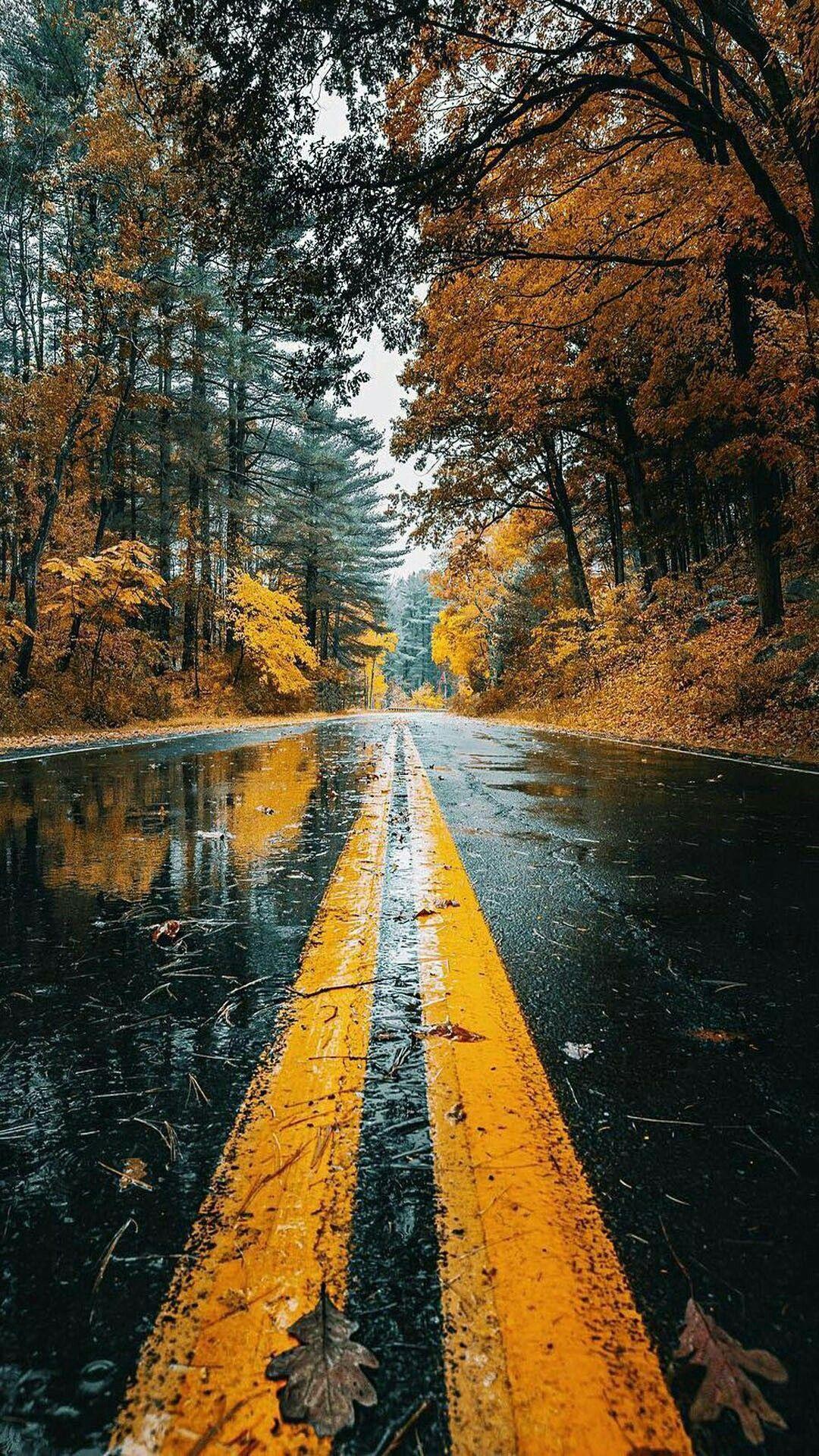 Fall Road Wallpapers - Top Free Fall Road Backgrounds - WallpaperAccess
