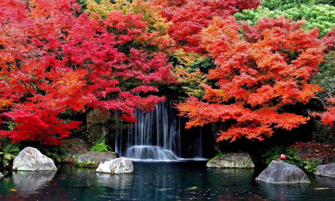 Fall iPad Wallpapers - Top Free Fall iPad Backgrounds - WallpaperAccess