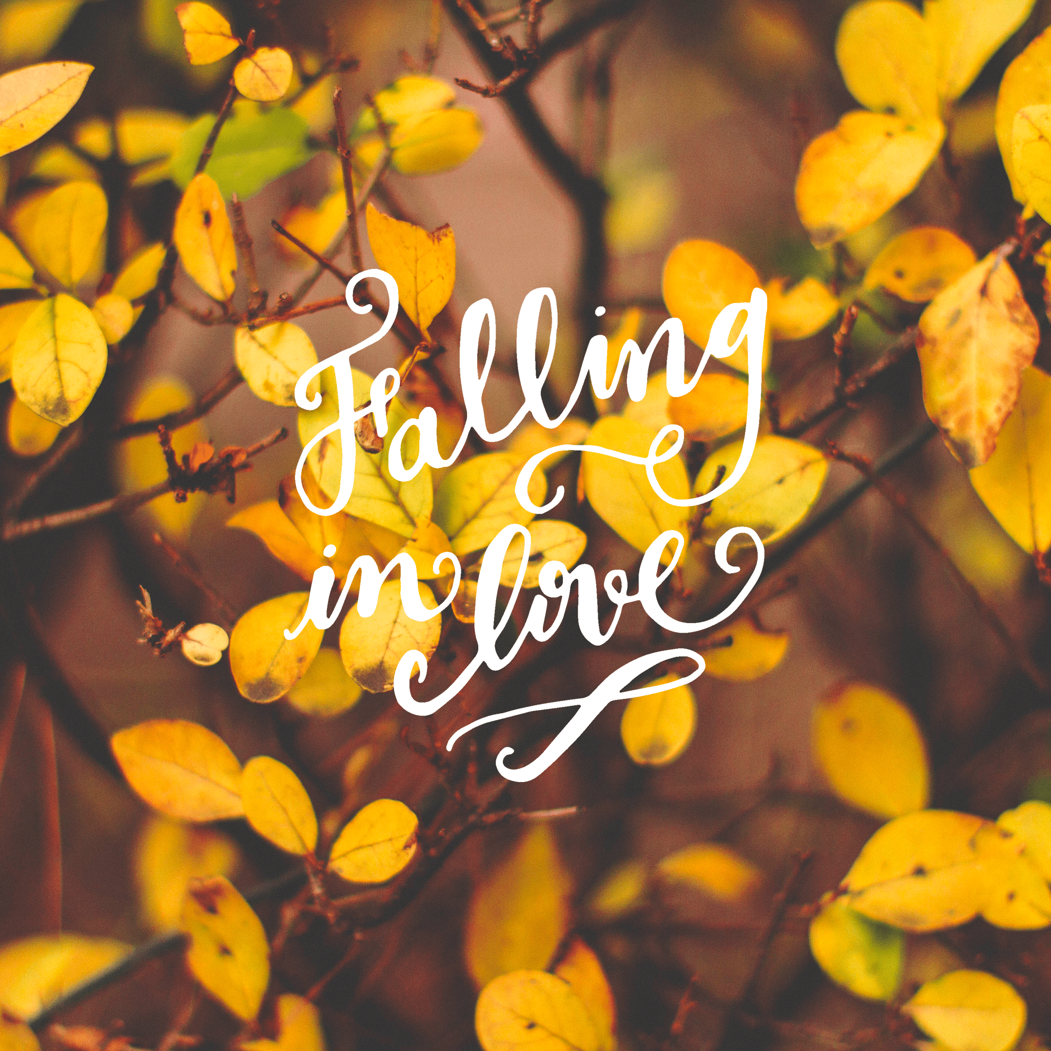 Fall iPad Wallpapers - Top Free Fall iPad Backgrounds - WallpaperAccess