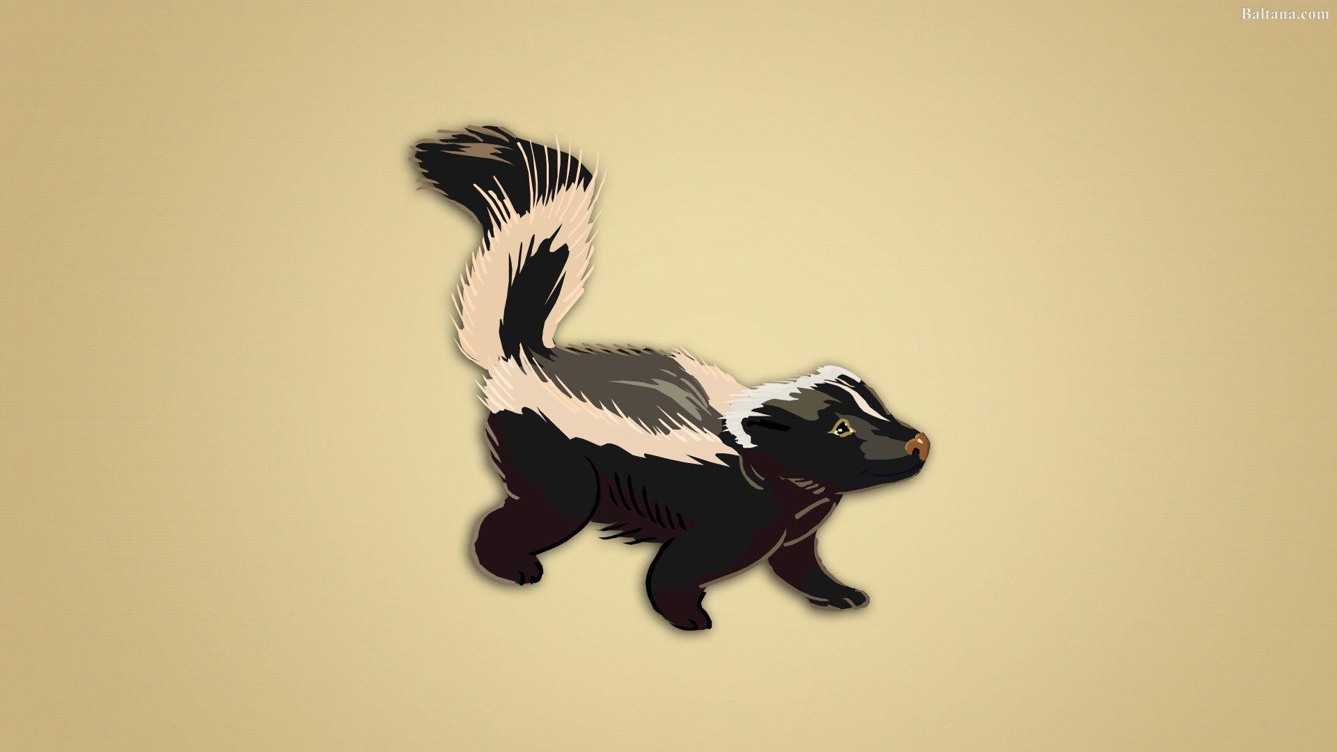 Skunk Wallpapers - Top Free Skunk Backgrounds - WallpaperAccess