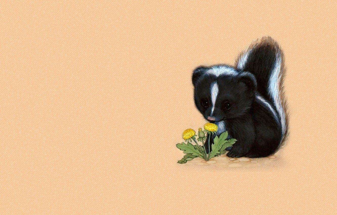 Skunk Wallpapers - Top Free Skunk Backgrounds - WallpaperAccess