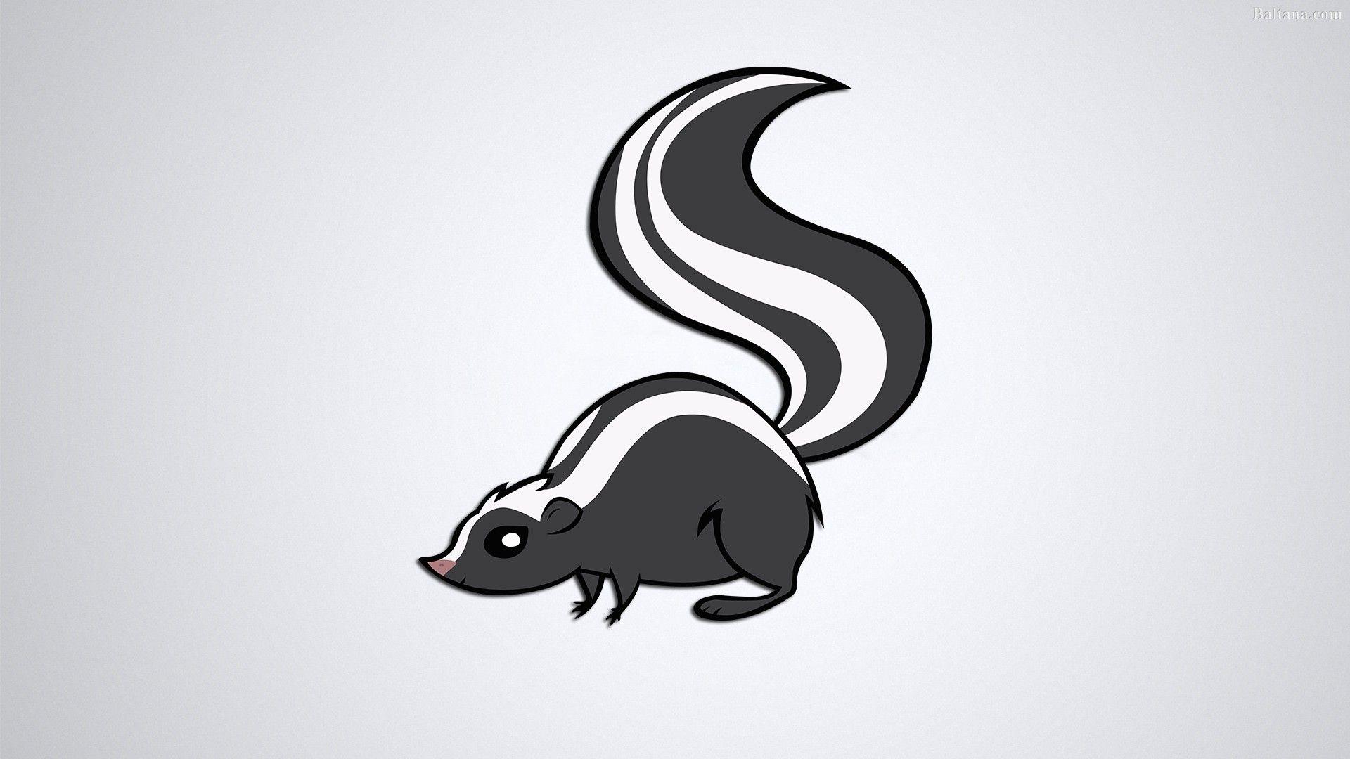 Skunk Wallpapers - Top Free Skunk Backgrounds - WallpaperAccess