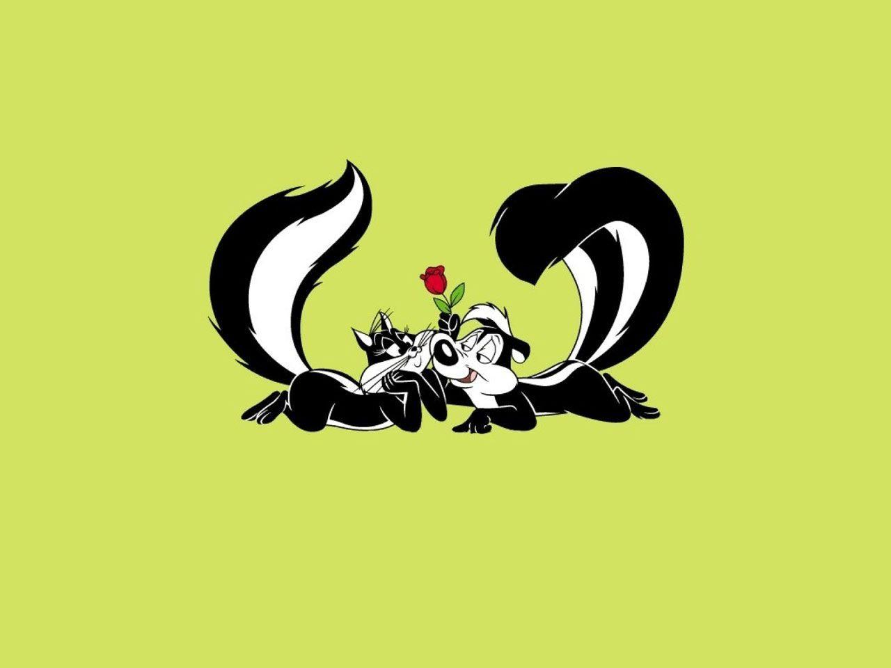 Skunk Wallpapers - Top Free Skunk Backgrounds - WallpaperAccess