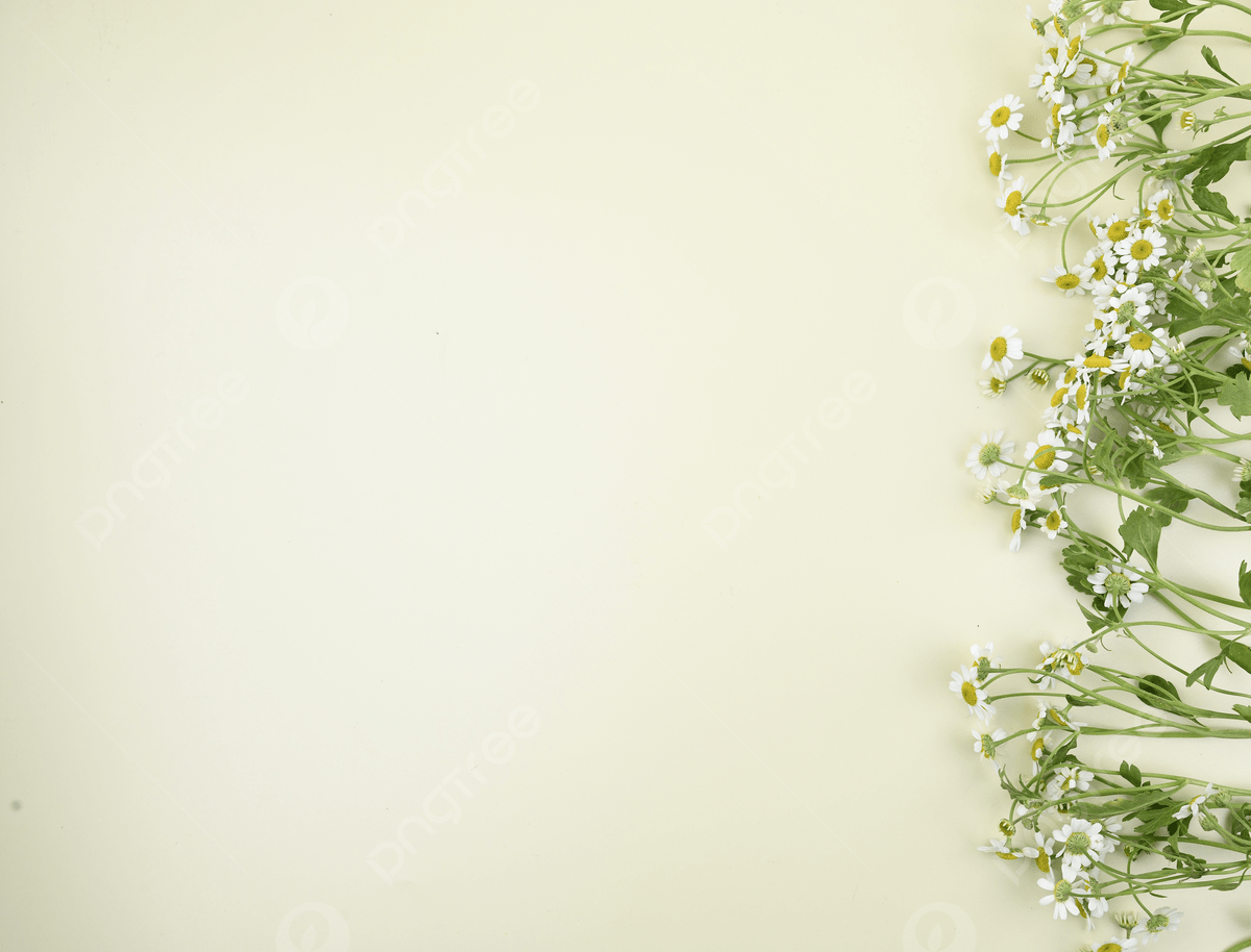 Right Side Wallpapers - Top Free Right Side Backgrounds - WallpaperAccess