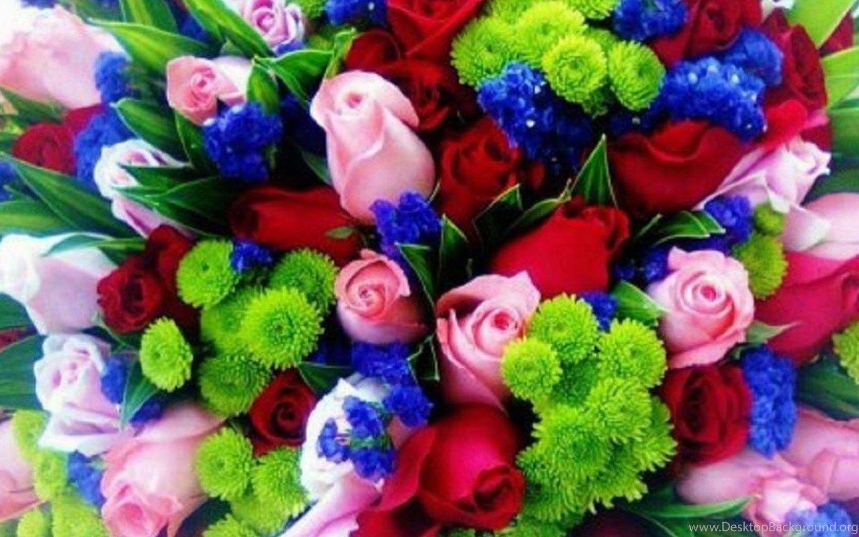 Colorful Roses Wallpapers - Top Free Colorful Roses Backgrounds ...