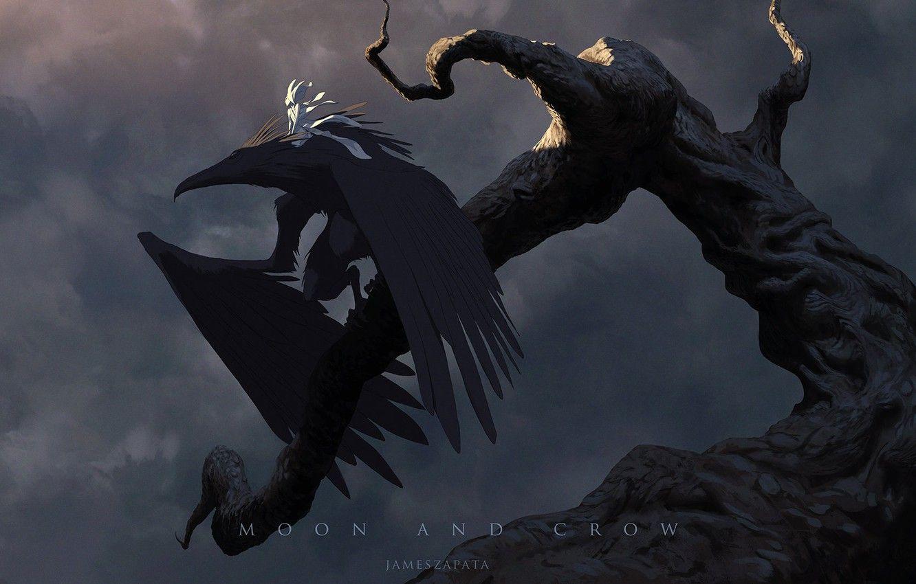 Crow Art Wallpapers - Top Free Crow Art Backgrounds - WallpaperAccess