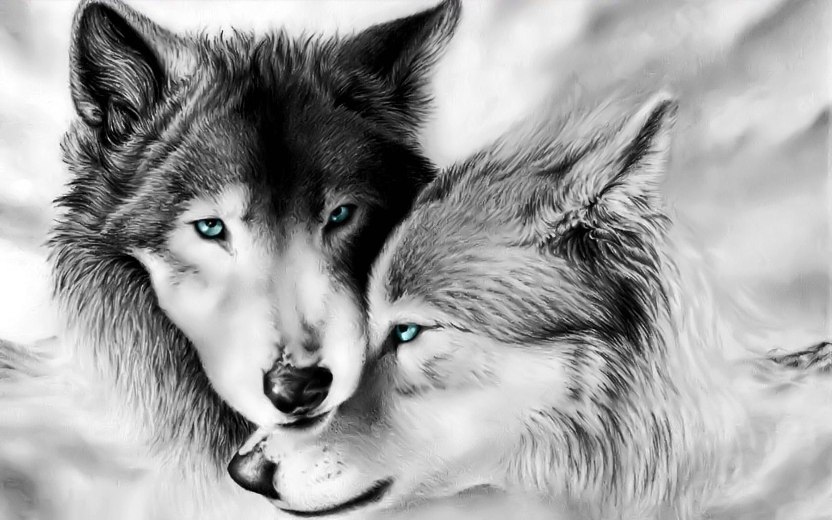 Wolf Couple Wallpapers - Top Free Wolf Couple Backgrounds - WallpaperAccess