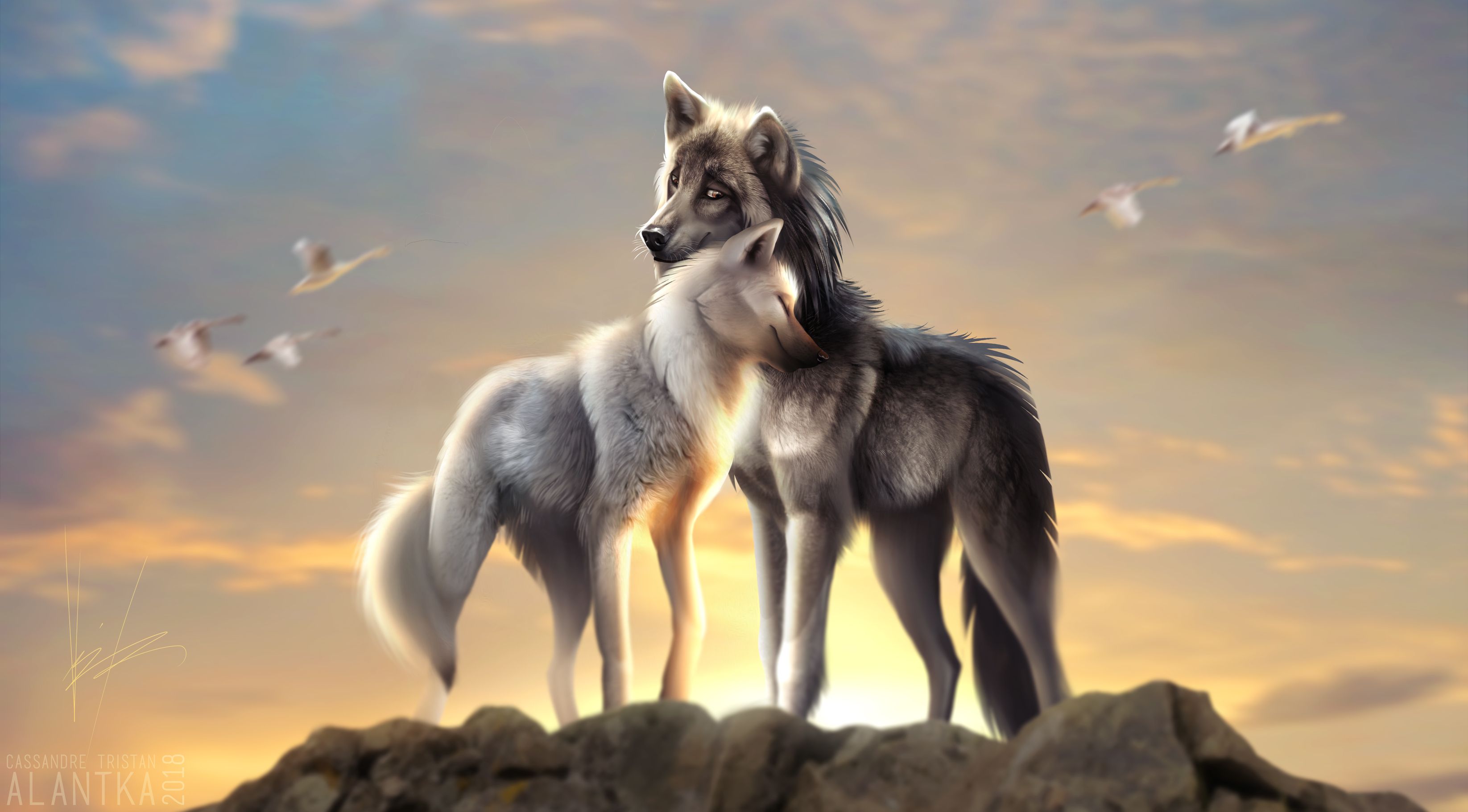 Wolf Couple Wallpapers - Top Free Wolf Couple Backgrounds - WallpaperAccess
