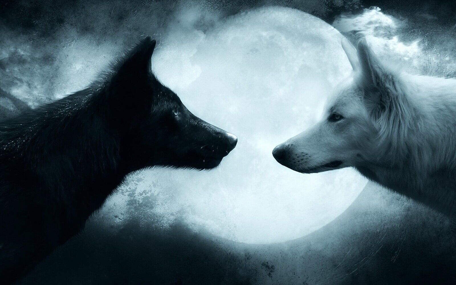 Wolf Couple Wallpapers - Top Free Wolf Couple Backgrounds - WallpaperAccess