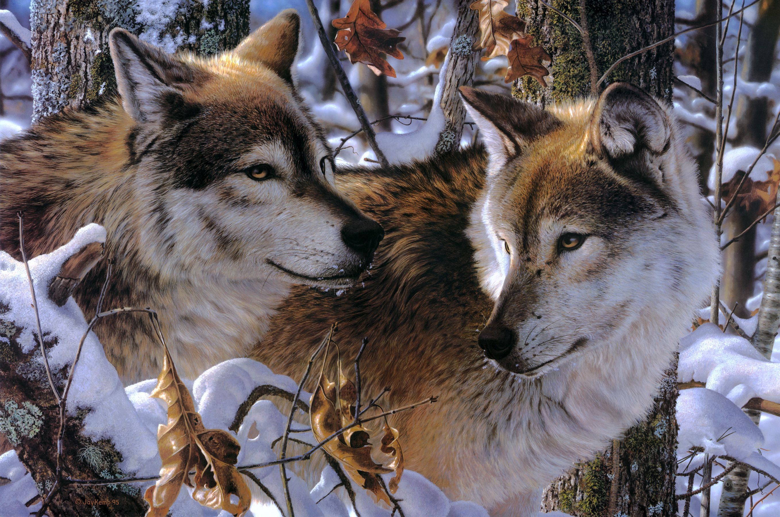 Wolf Couple Wallpapers - Top Free Wolf Couple Backgrounds - WallpaperAccess