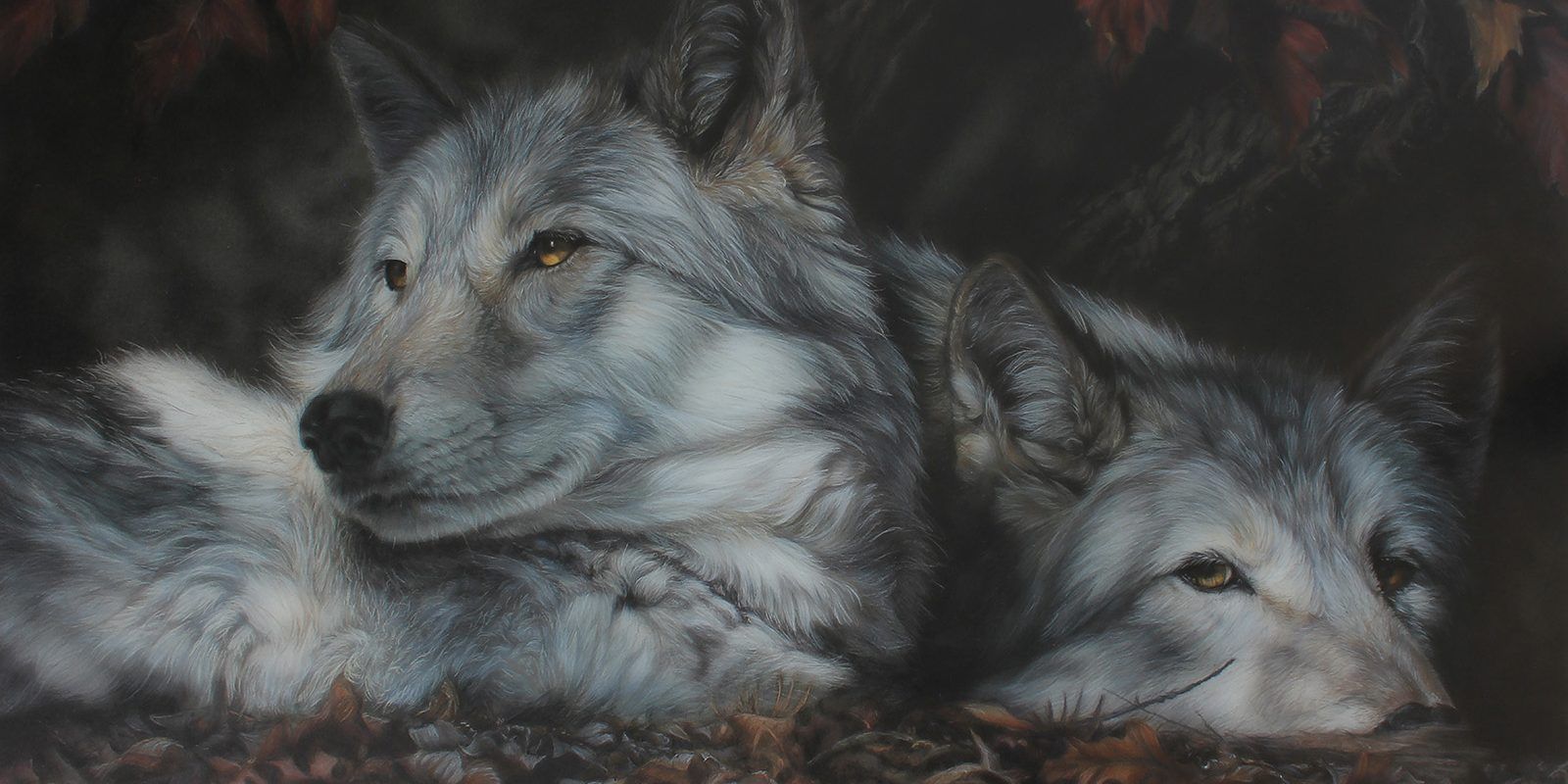 Wolf Couple Wallpapers - Top Free Wolf Couple Backgrounds - WallpaperAccess