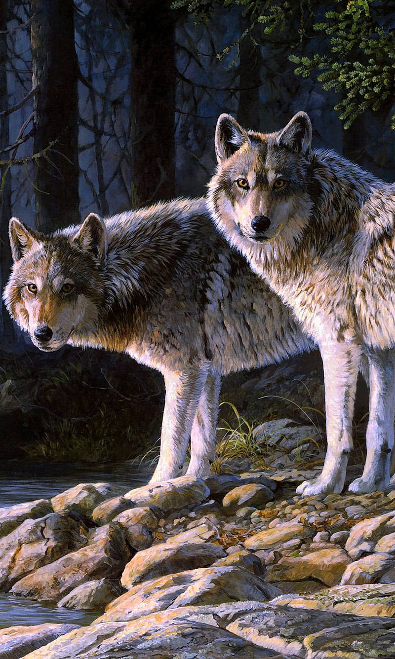 Wolf Couple Wallpapers - Top Free Wolf Couple Backgrounds - WallpaperAccess