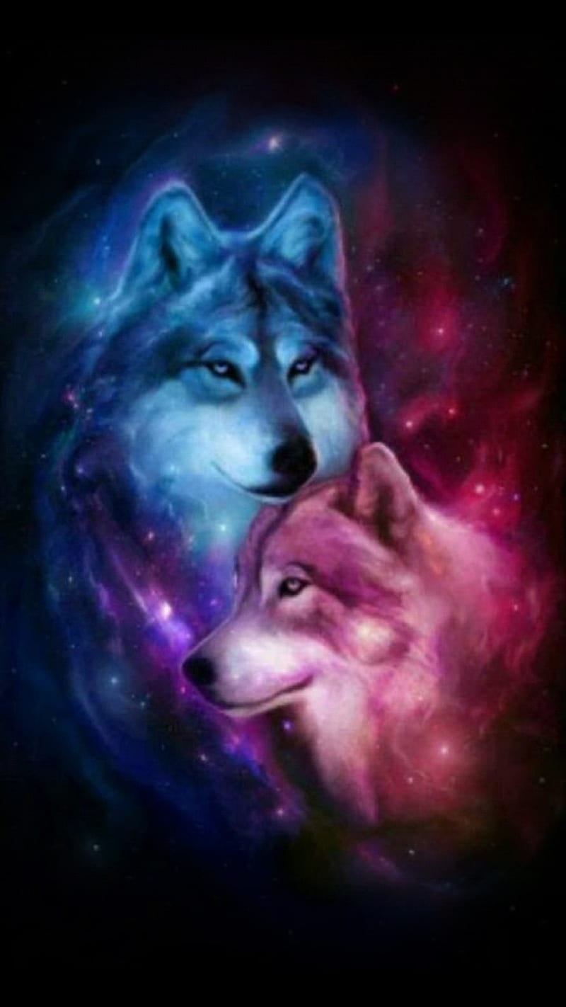 Wolf Couple Wallpapers - Top Free Wolf Couple Backgrounds - WallpaperAccess