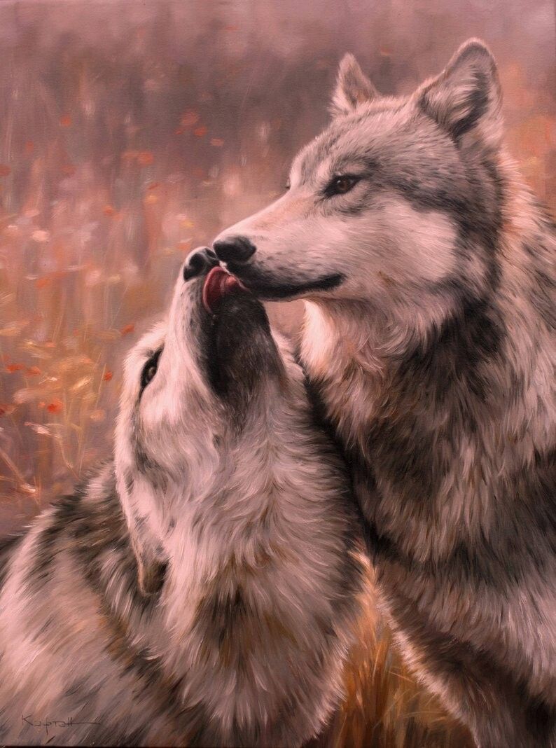 Wolf Couple Wallpapers - Top Free Wolf Couple Backgrounds - WallpaperAccess