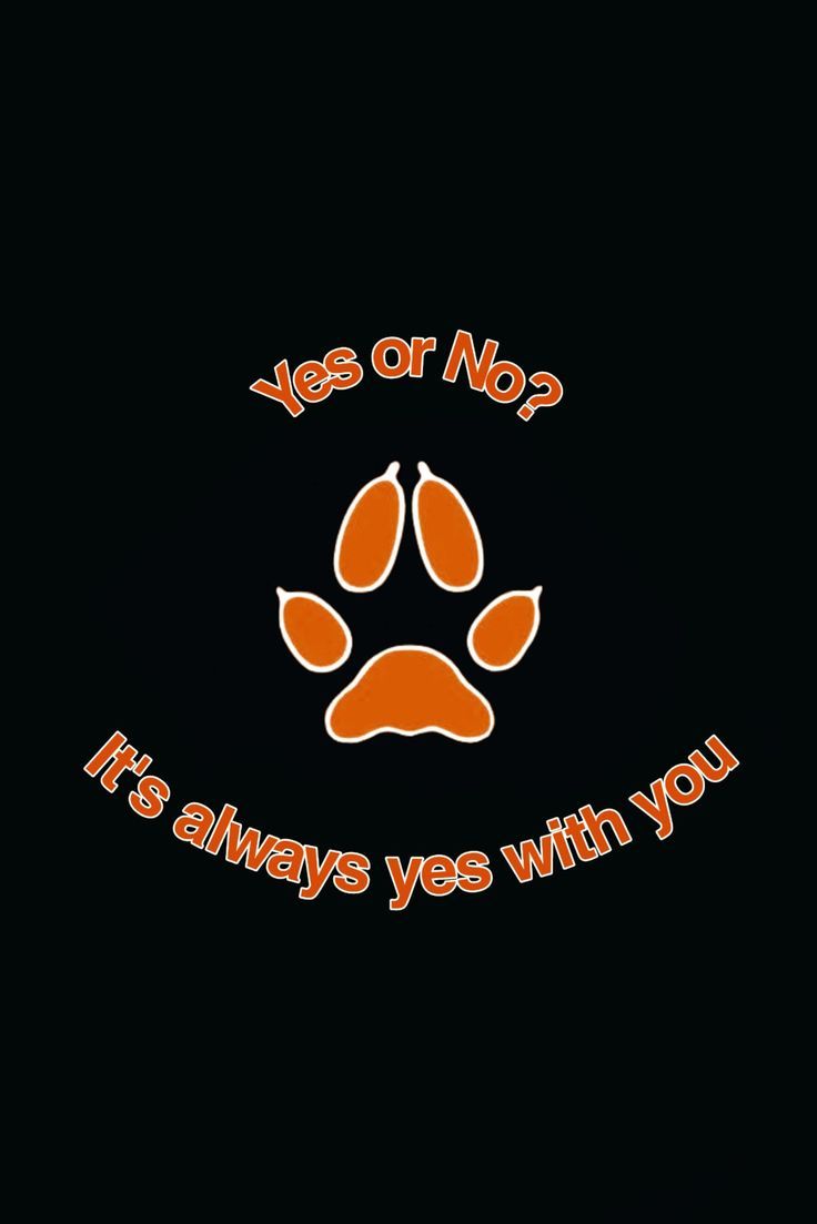 All For The Game Wallpapers - Top Free All For The Game Backgrounds ...