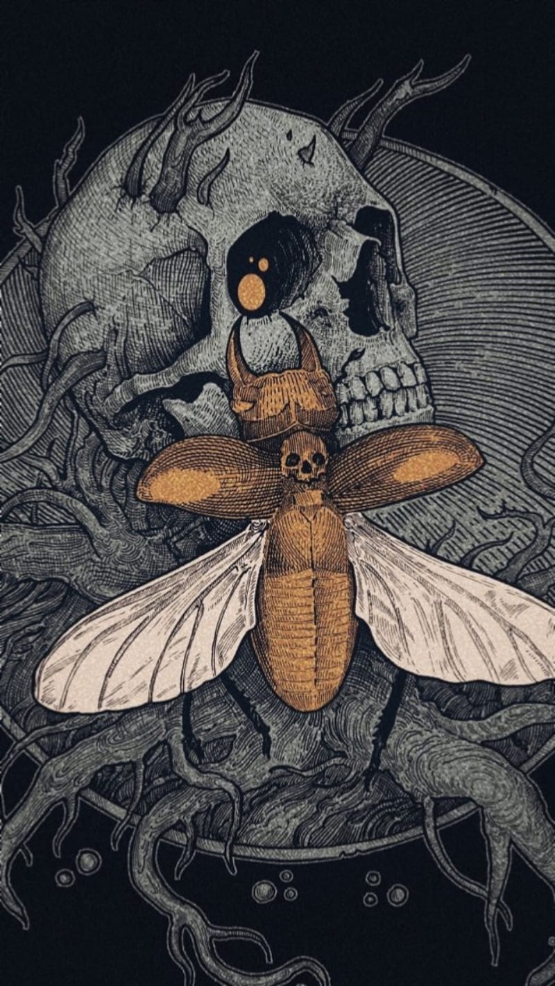 Riddim Wallpapers - Top Free Riddim Backgrounds - WallpaperAccess