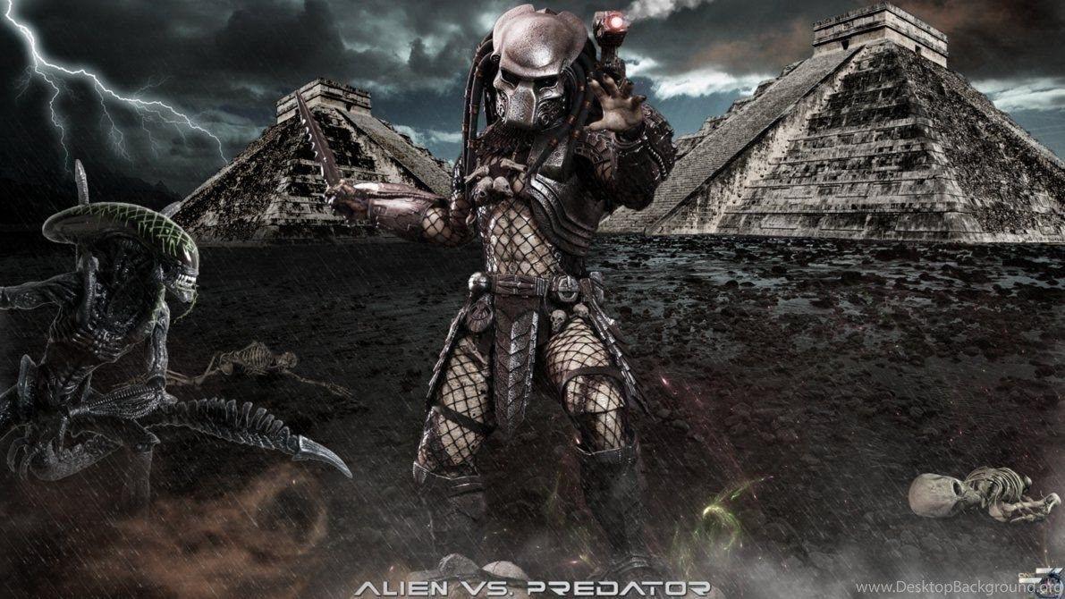 AVP Wallpapers - Top Free AVP Backgrounds - WallpaperAccess