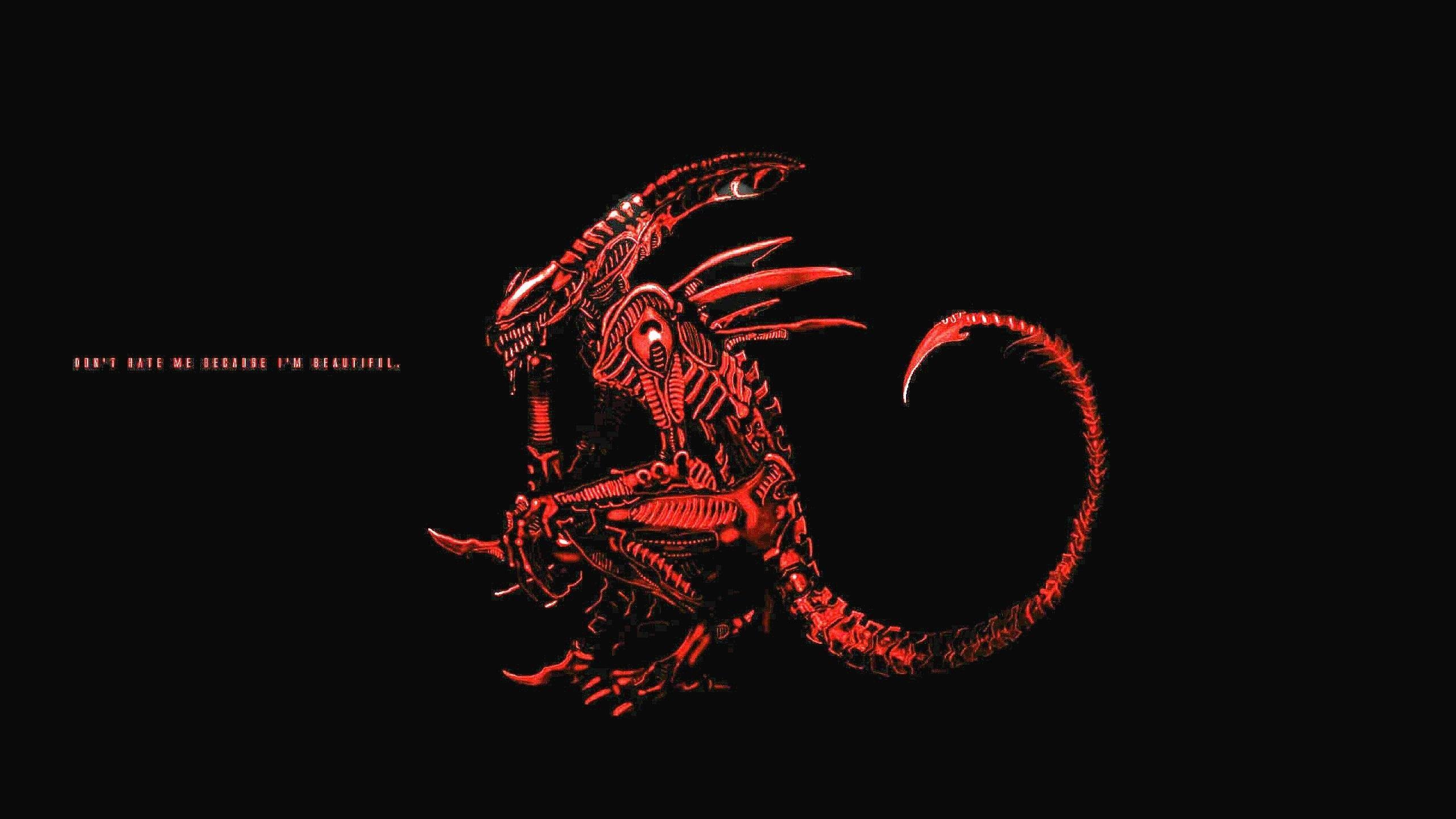 Predator Laptop Wallpapers - Top Free Predator Laptop Backgrounds ...